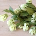 Hops Silk Flowers Beer Hops Artificial Plant Artificial - Etsy