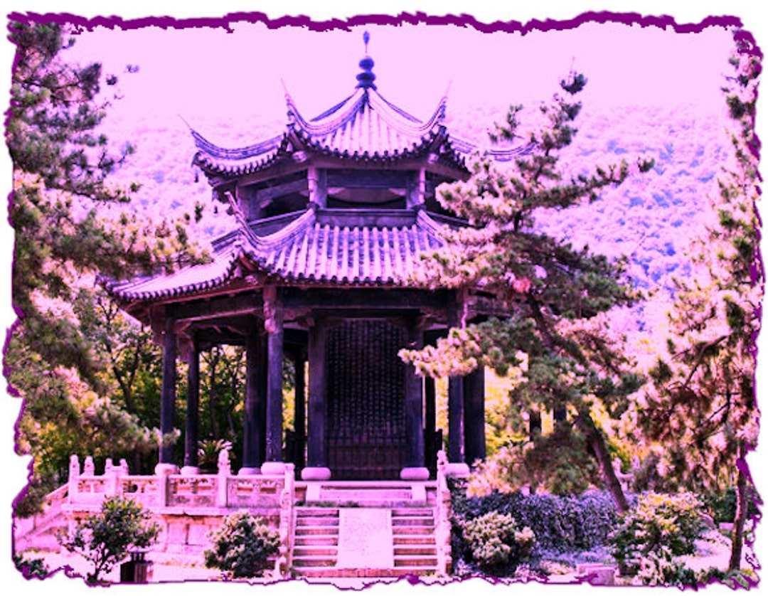 Orchid Pavilion™ Perfume Oil - Orchids, Wild Rose, Peony, Musk, Amber ...