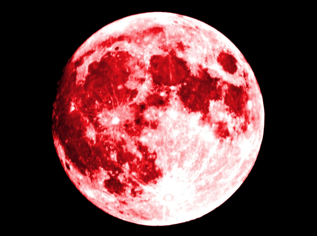 RED MOON Perfume Oil: Red Musk, Hibiscus, Dark Currants, Fantasy ...