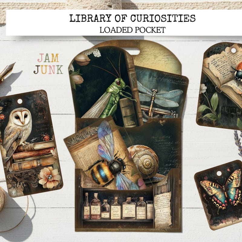 Library of Curiosities - Etsy