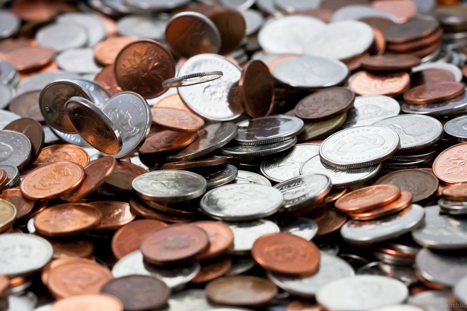 8x12 Macro Photo Print: Manic Money - Etsy