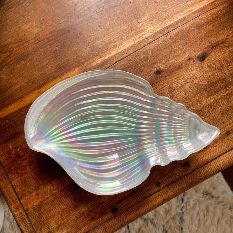 Rainbow Shell - Etsy
