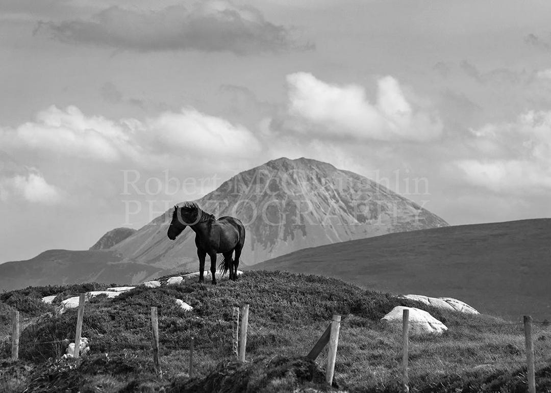 Black Beauty, Co. Donegal - Ireland Photography Horse Print - Etsy
