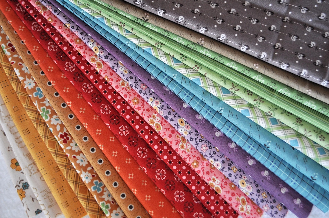 Autumn 20 Mixed Fat Eighths by Lori Holt for Riley Blake, 2 1/2 Yards ...