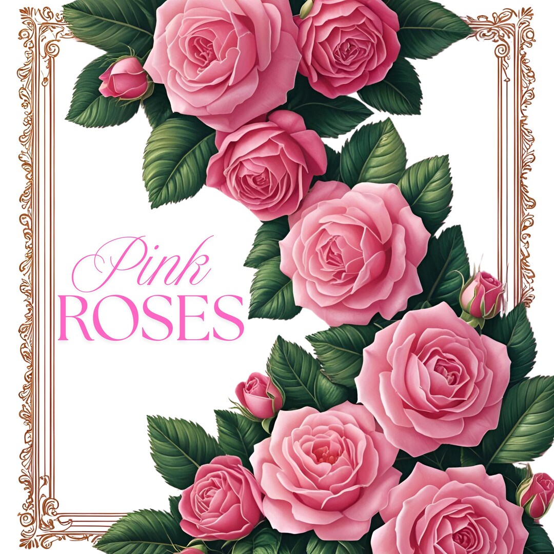 Elegant Pink Roses Clipart Collection – DIGITAL Floral Borders ...