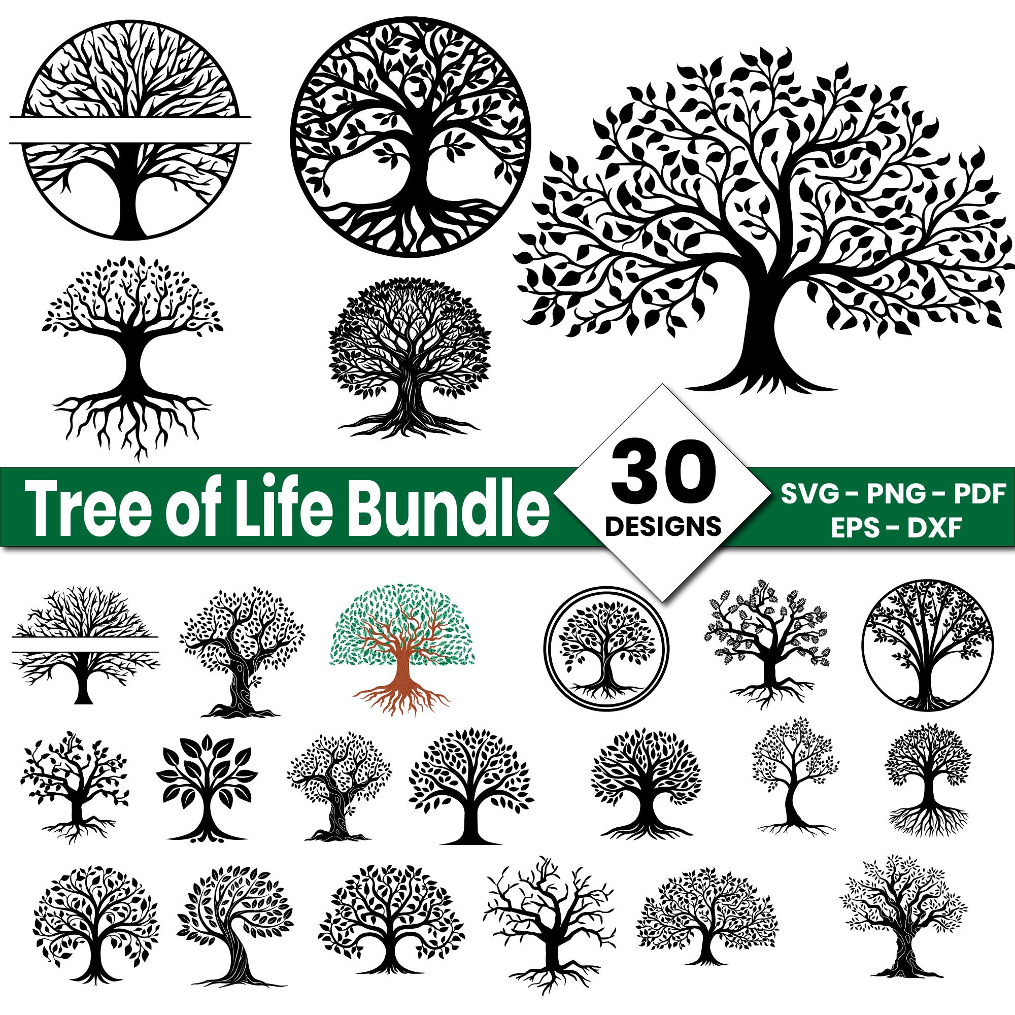 Family Tree SVG Bundle: Reunion Cut Files, Home Decor (digital Download ...