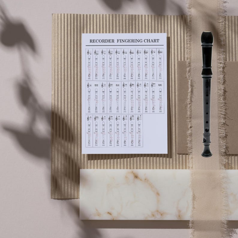 Recorder Fingering Chart for Music Teachers | Classroom Resource ...