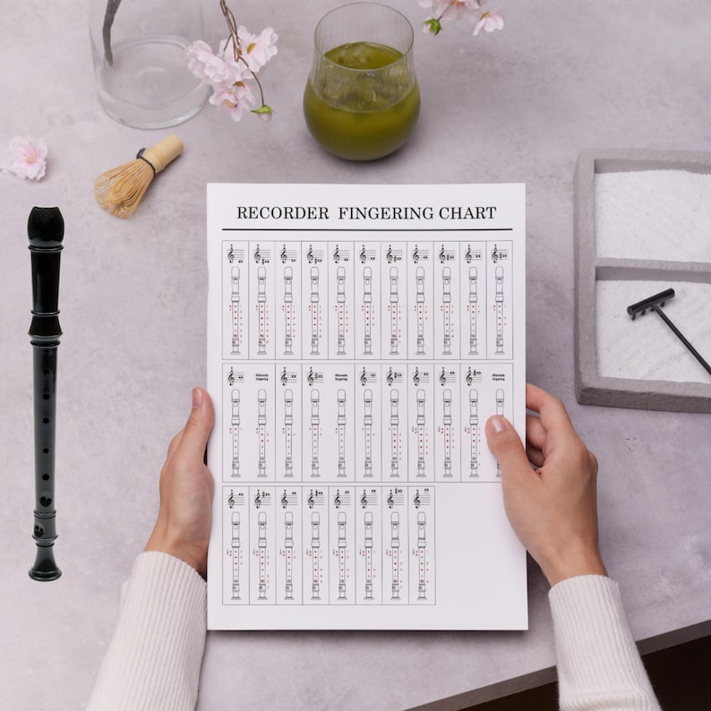 Recorder Fingering Chart for Music Teachers | Classroom Resource ...