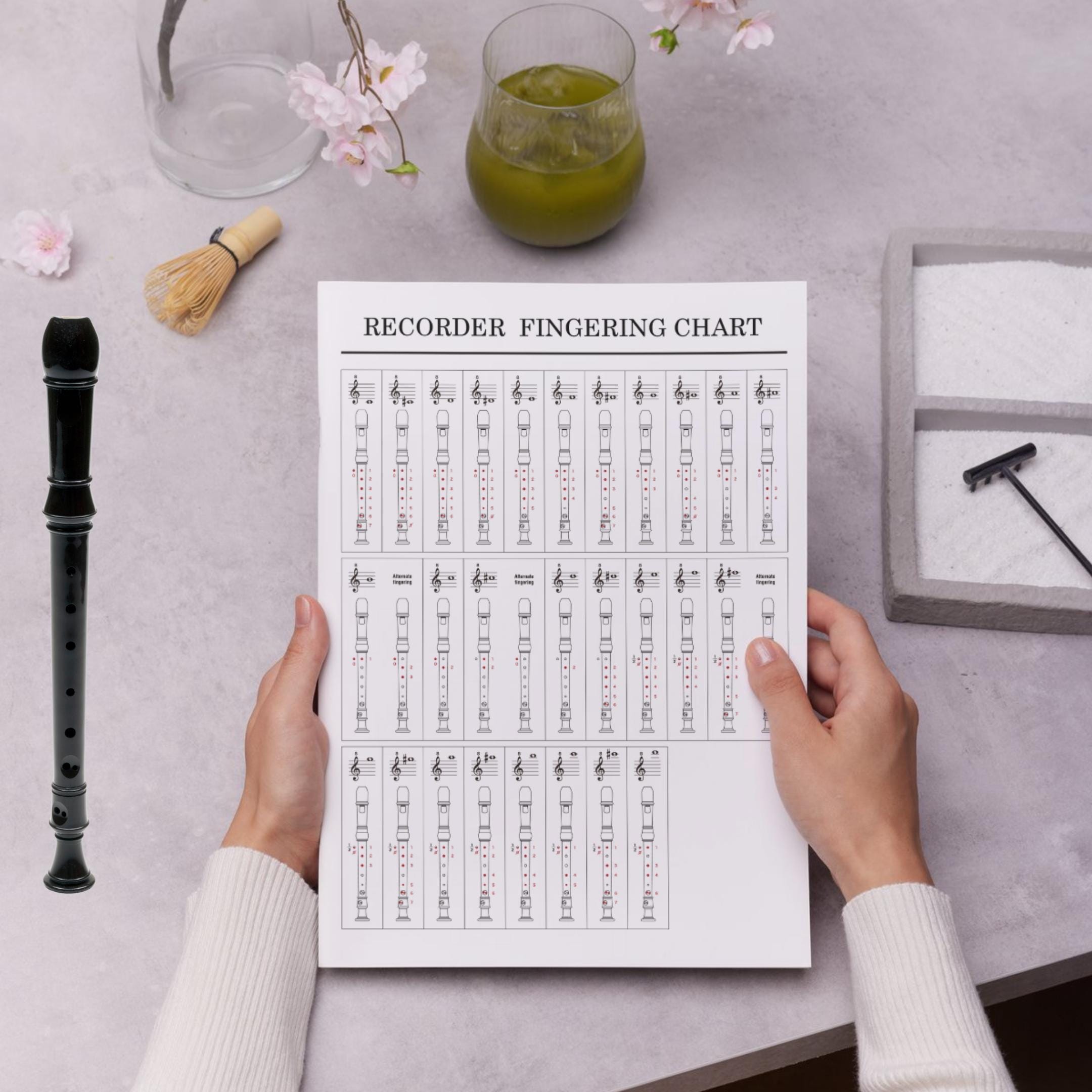 Recorder Fingering Chart for Music Teachers | Classroom Resource ...