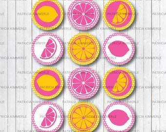 Pink lemonade theme | Etsy