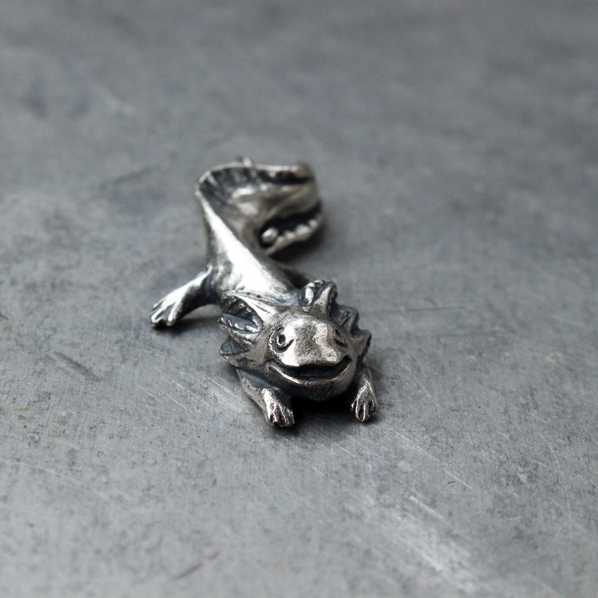 Smiling Axolotl Necklace: Bronze or Silver Mud Puppy Pendant - Etsy