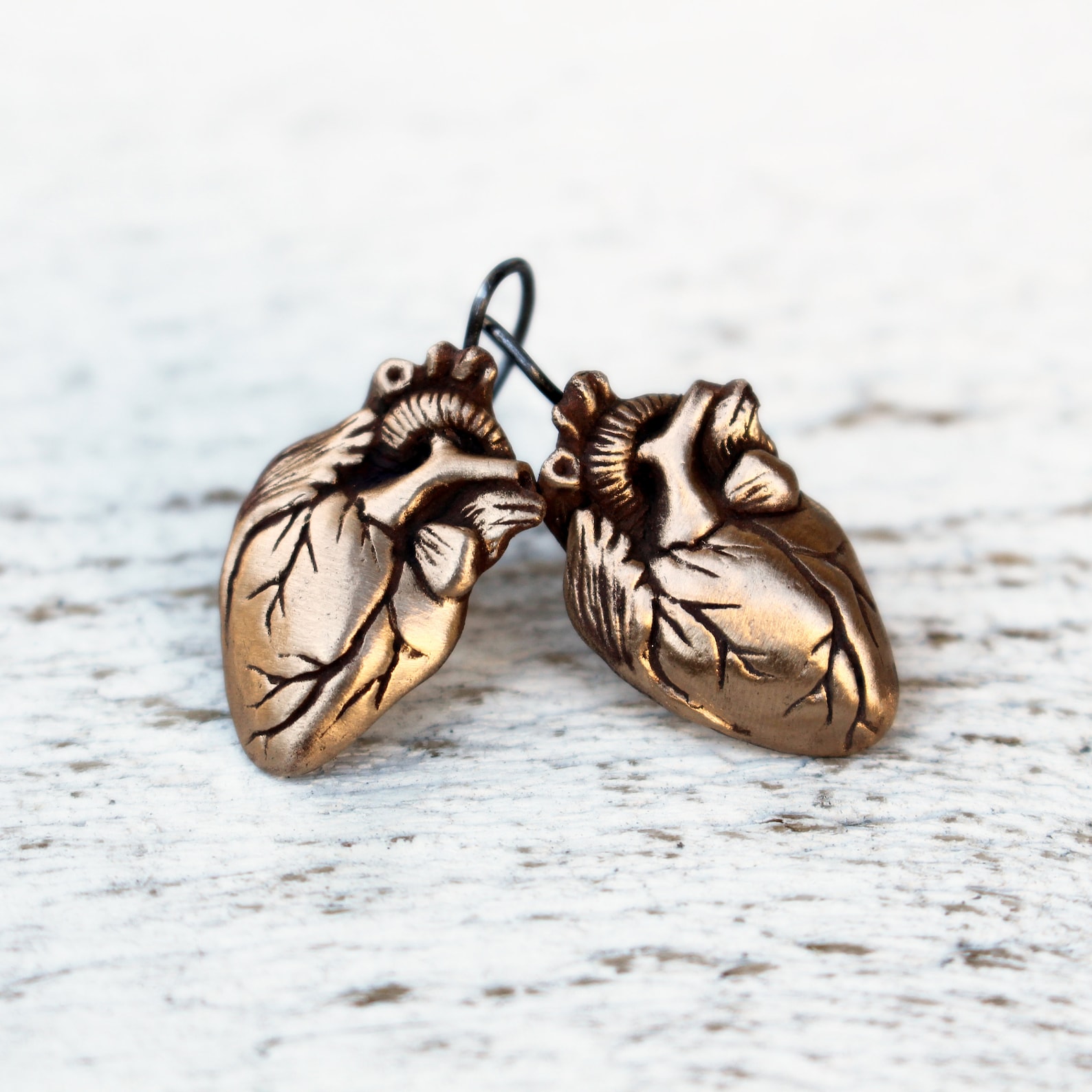 Anatomical Hearts Titanium Earrings - Etsy
