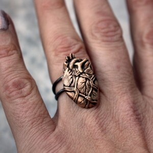 Bound Anatomical Heart Ring - Etsy