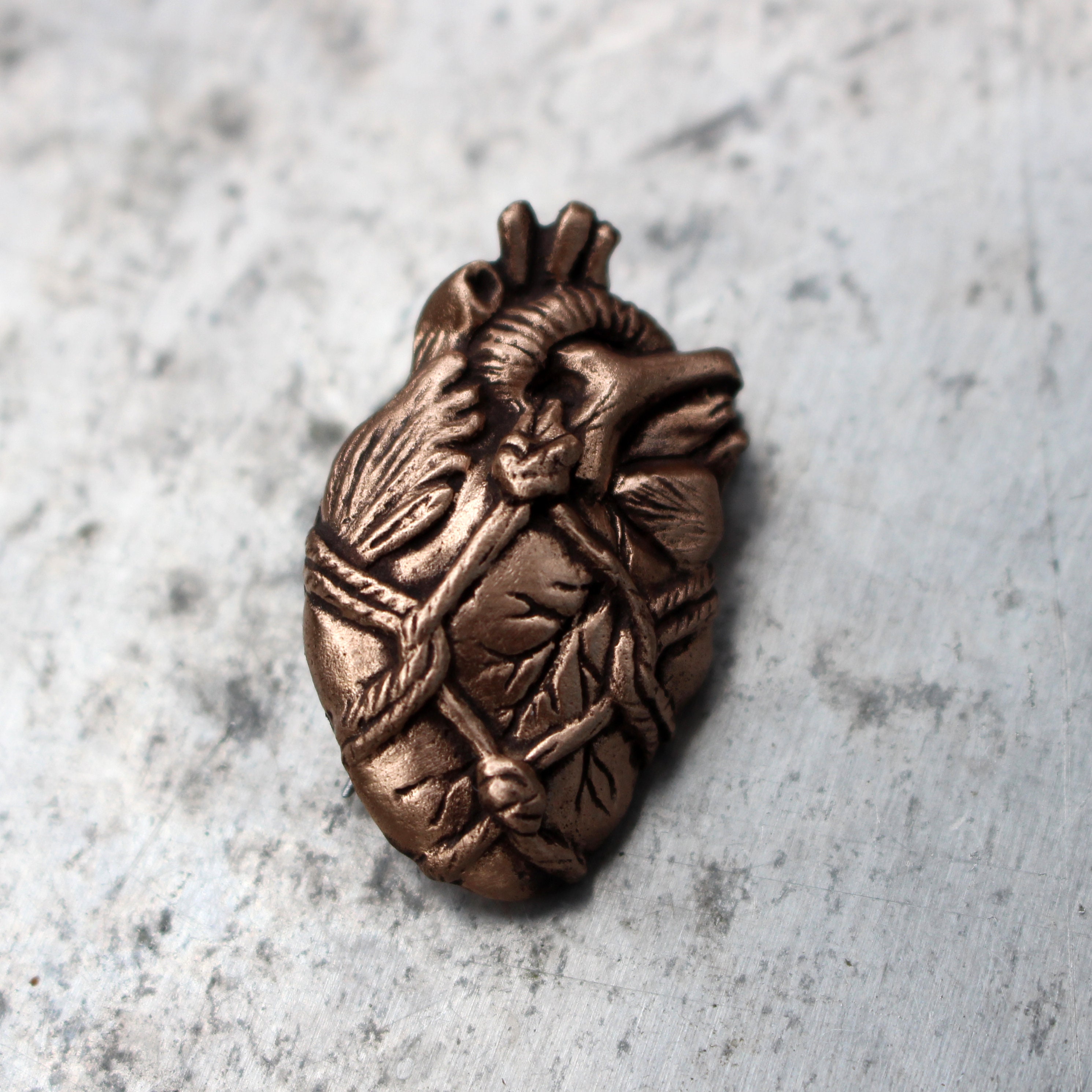 Bound Anatomical Heart Brooch - Etsy