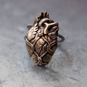 Bound Anatomical Heart Ring - Etsy
