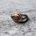 Human Eye Ring - Etsy