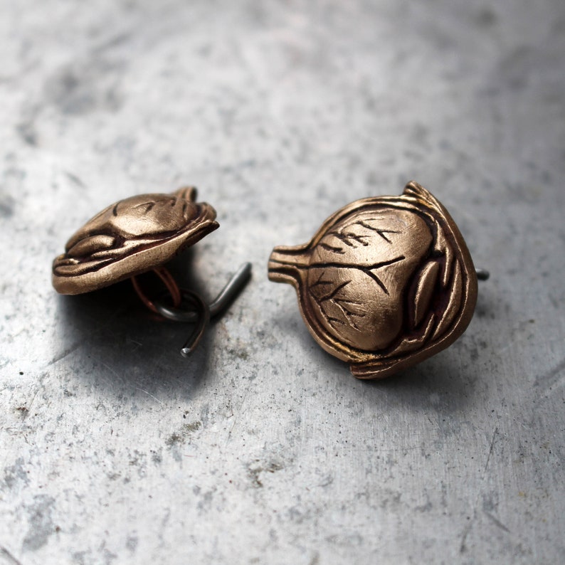 Anatomical Eyeball Cuff Links, Eye in Cross Section, Medical ...