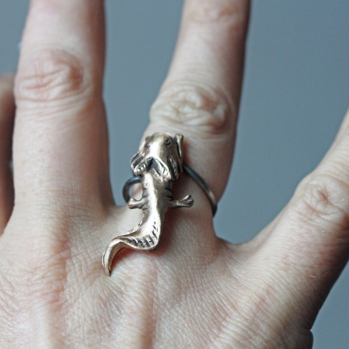 Axolotl Ring, Mud Puppy, Ajolote - Etsy