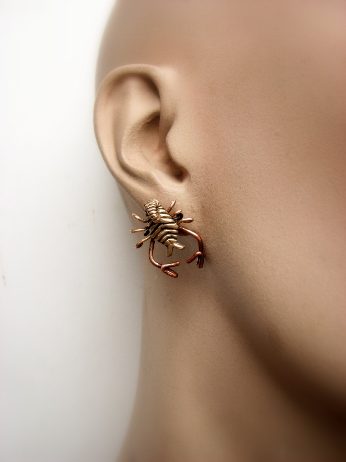 Scorpion Earrings Entomology Jewelry Titanium Earrings - Etsy