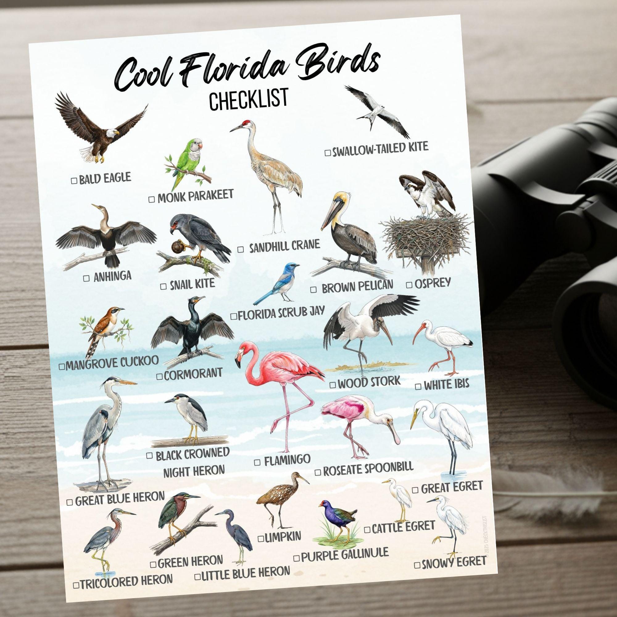 Florida Birds Checklists