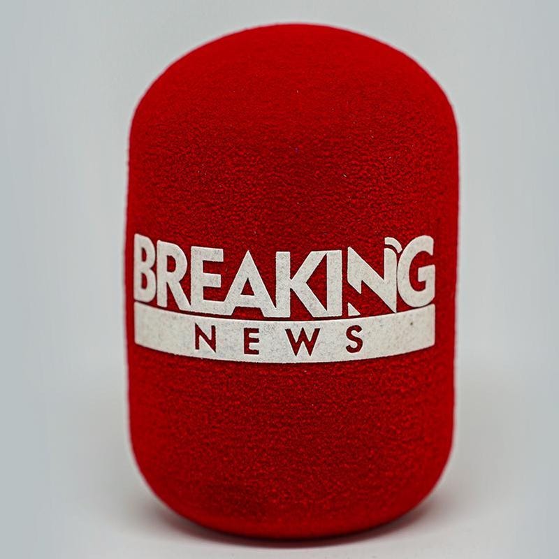 Custom Microphone Cover - Etsy UK