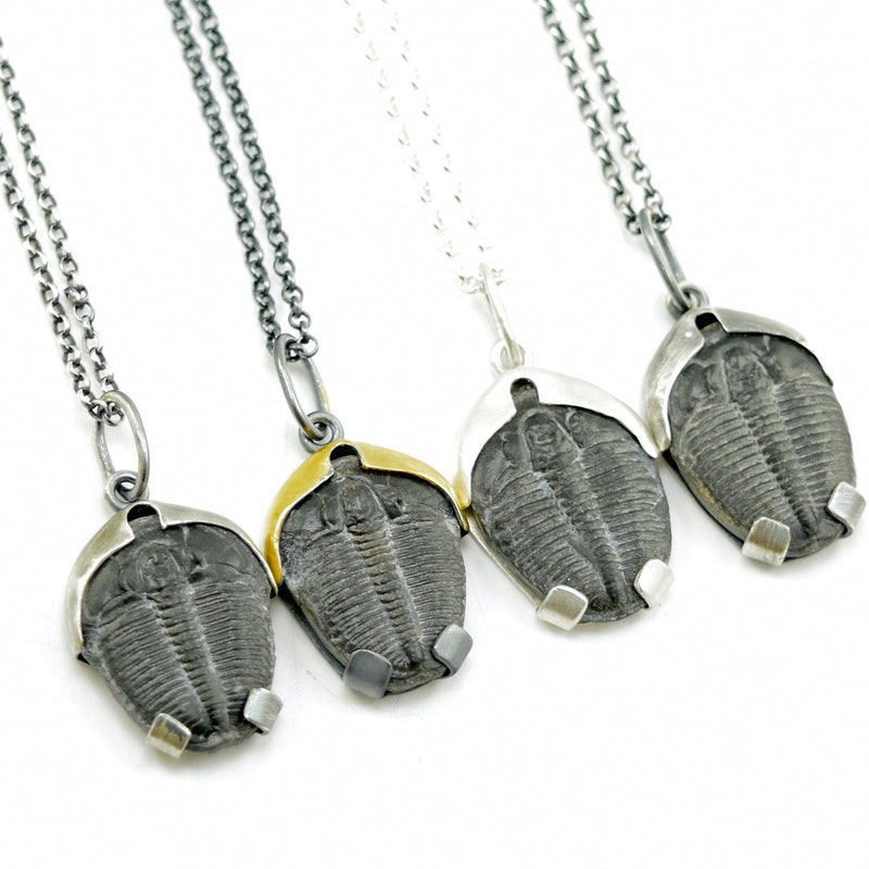 Trilobite Pendant - Etsy