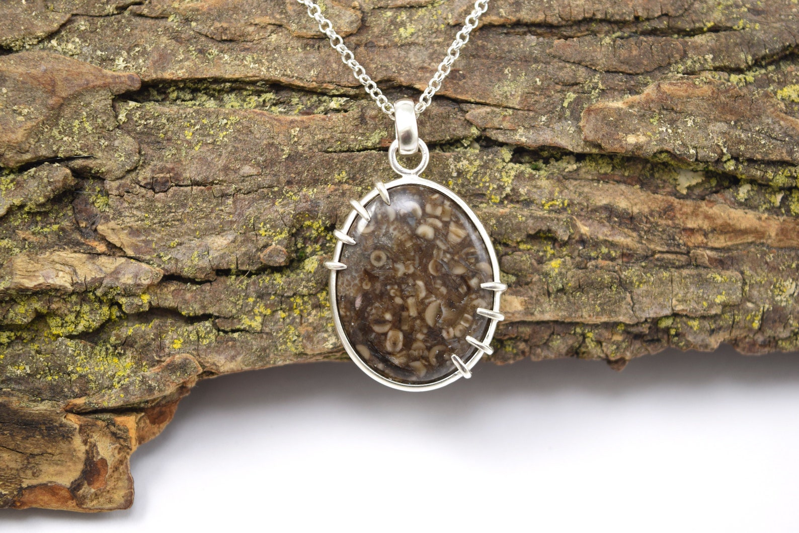 Ancient Sea Bed Crinoid Necklace With Additional Fossils - Etsy