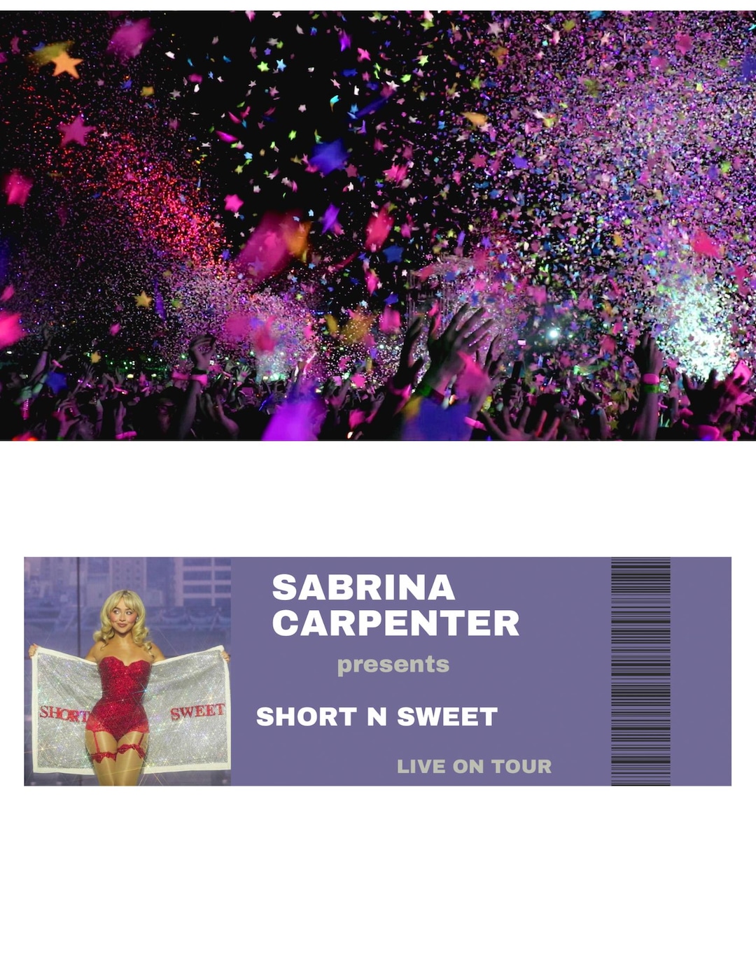 Sabrina Carpenter Short N Sweet Concert Ticket - Digital Download - Etsy