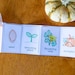 Pumpkin Life Cycle Activity - Educational Thanksgiving Printable ...