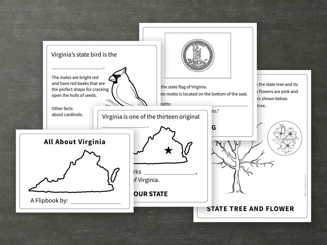 Virginia Worksheet Printable, Flip Book, VA SOL, Activity, Toddler ...