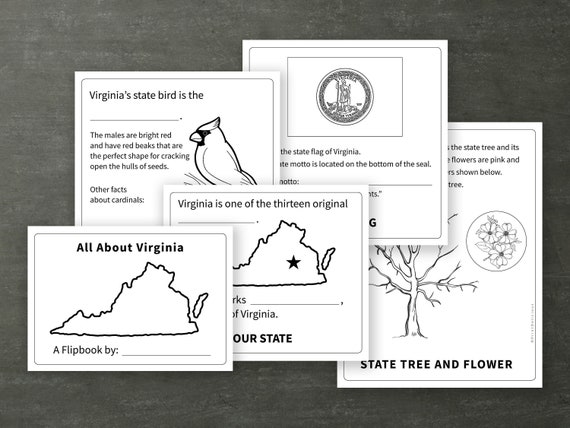 Virginia Worksheet Printable Flip Book VA SOL Activity - Etsy