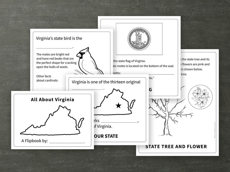 Virginia Worksheet Printable, Flip Book, VA SOL, Activity, Toddler ...