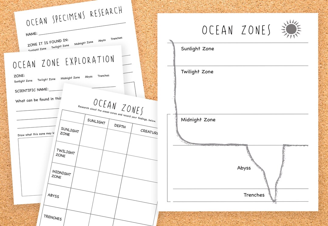 Ocean Zones Worksheets - Oceans Activity, Homeschool, Specimen Research ...
