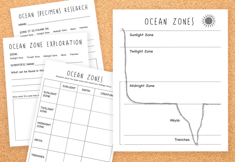 Ocean Zones Worksheets - Oceans Activity, Homeschool, Specimen Research ...