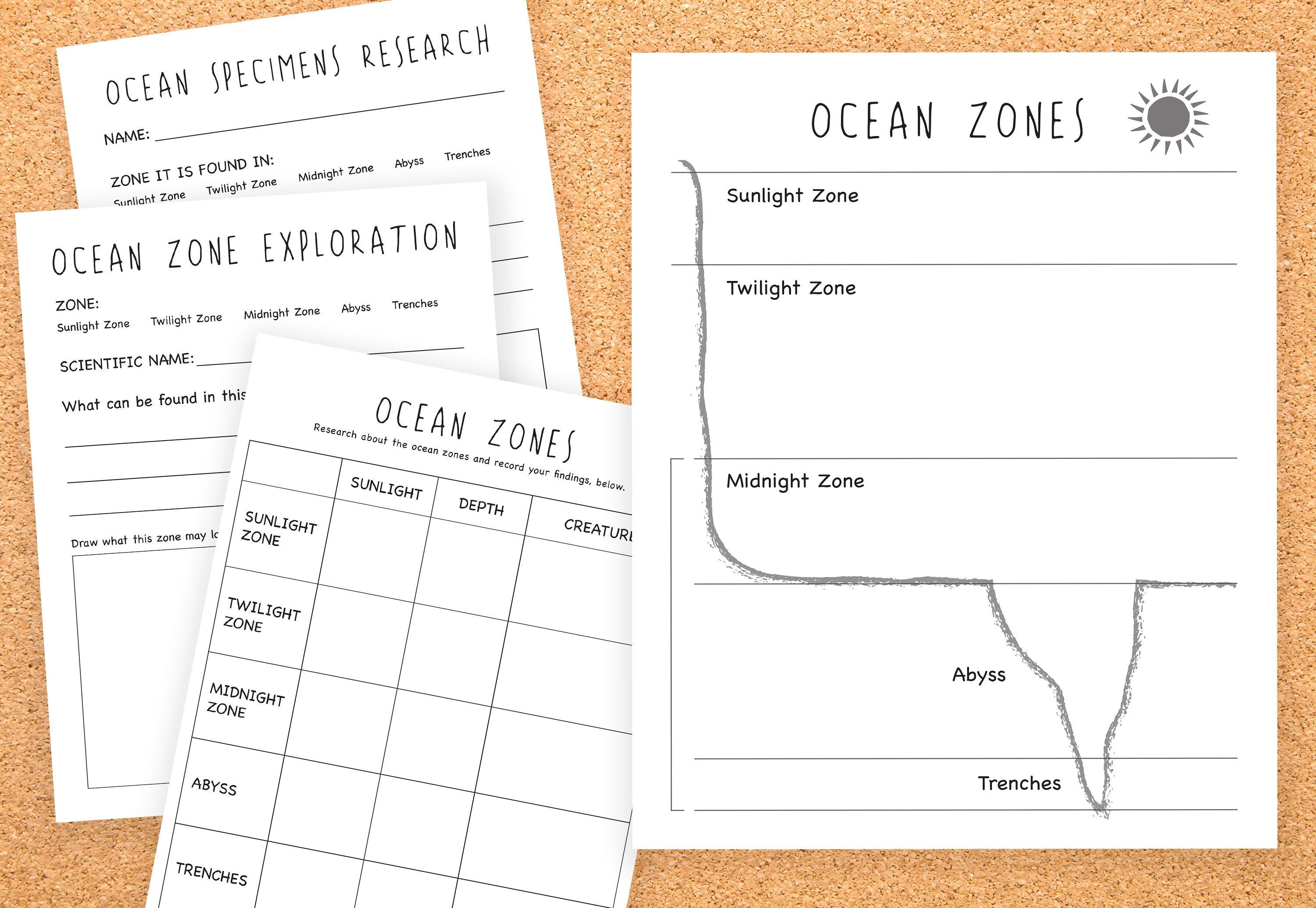 Ocean Zones Worksheets - Oceans Activity, Homeschool, Specimen Research ...