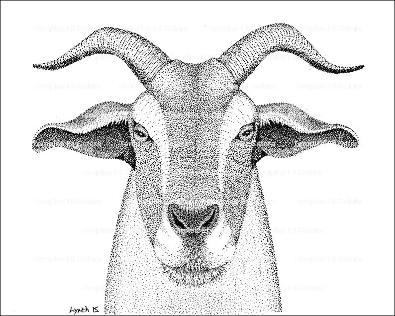 Farm Animals in Stipple, A.k.a. Pointillism, Goat Mug Shot - Etsy
