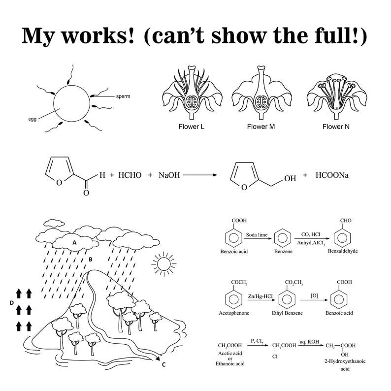 Physics Diagram Design | Educational Science Infographic ...
