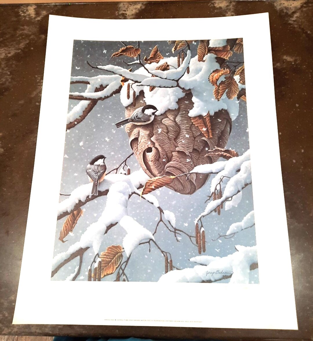 Jerry Gadamus Paper Chase Chickadee Print Signed & Numbered 13.25 " X ...