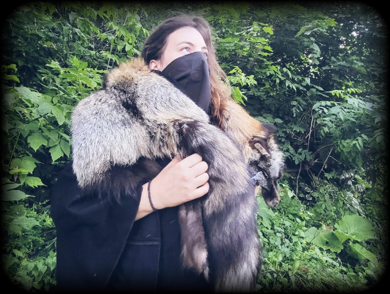 Ethical Fox Pelts From Local Breeder, Real Full Body Fox Pelt ...