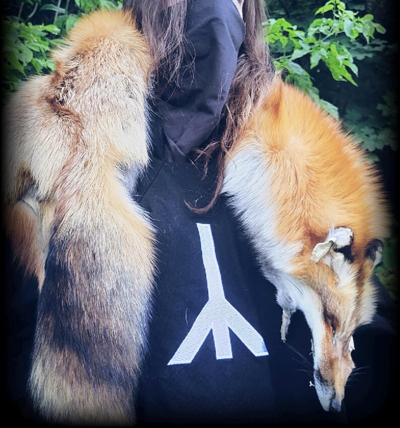 Ethical Fox Pelts From Local Breeder, Real Full Body Fox Pelt ...
