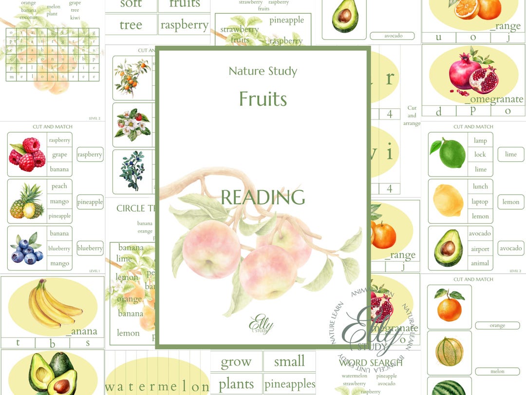 Fruits Reading Pack: Fun Literacy Activities for Early Learners ...