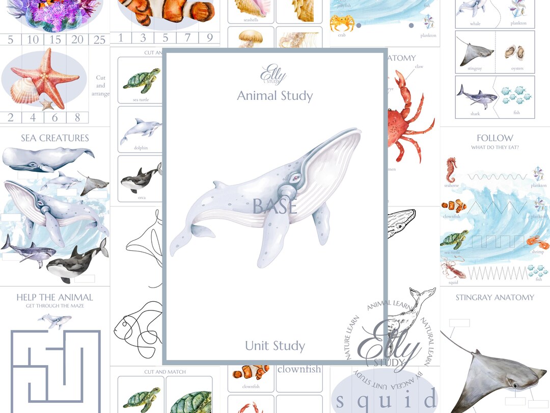 Sea Creatures - Base Pack, Education, Montessori, Unit Study, Animal ...