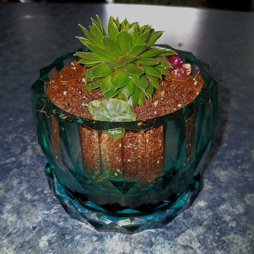 Teal Epoxy Resin Planter With Live Succulent - Etsy