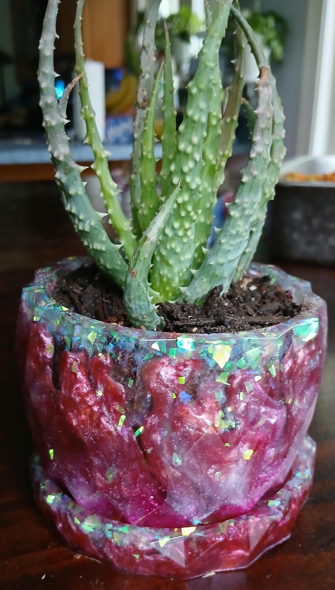 Handmade Resin Planter With Live Succulent Plant - Unique Home Decor ...