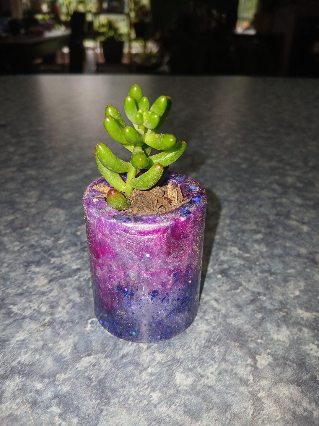Handmade Epoxy Resin Planter With Live Succulent Plant - Etsy