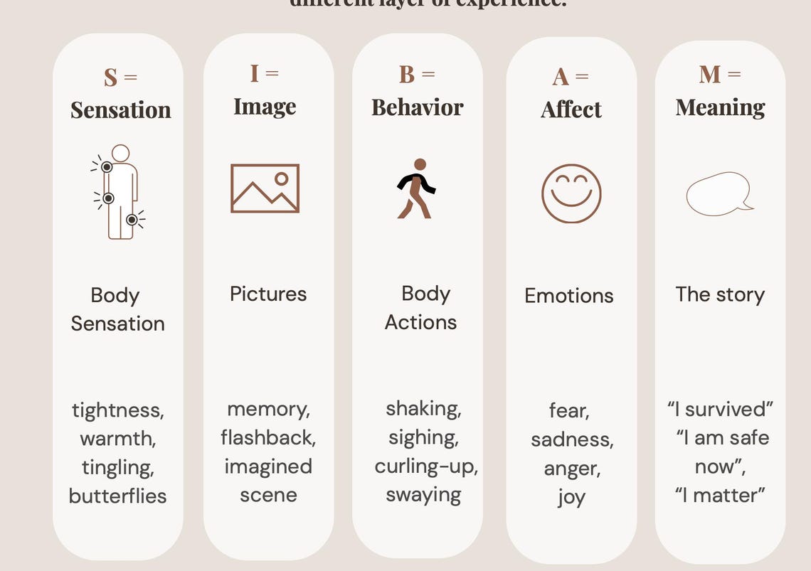 Somatic Experiencing Worksheet: Trauma Healing, Nervous System ...