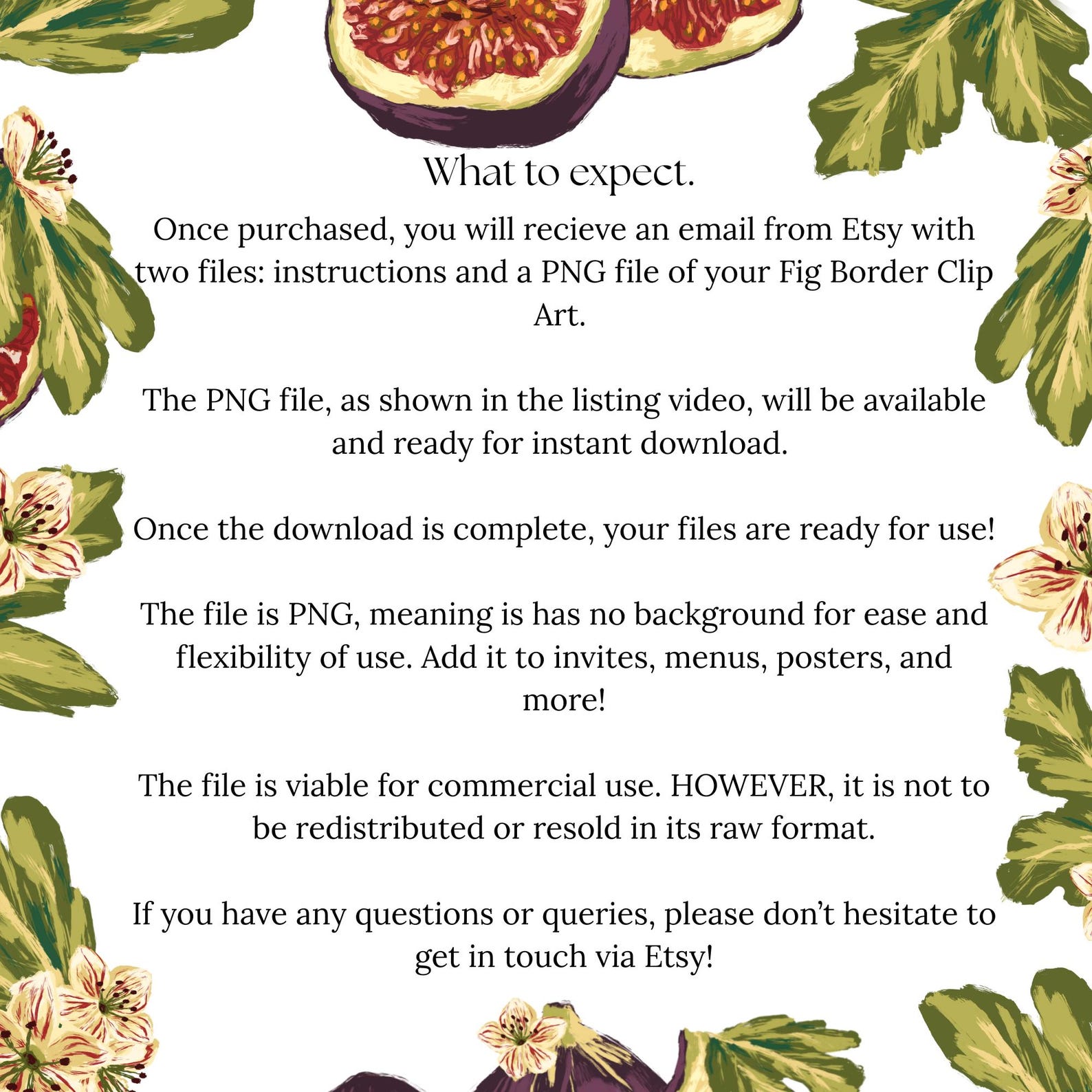 Figs PNG Border Clipart | Fig Digital Download | Hand Drawn Fruit ...