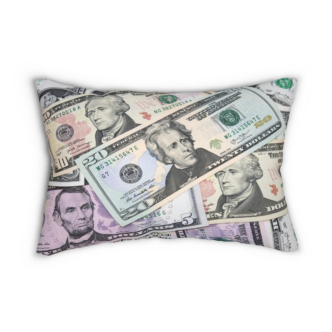 Father's Day Gift Idea, Cozy Currency Lumbar Pillow - Unique Money ...