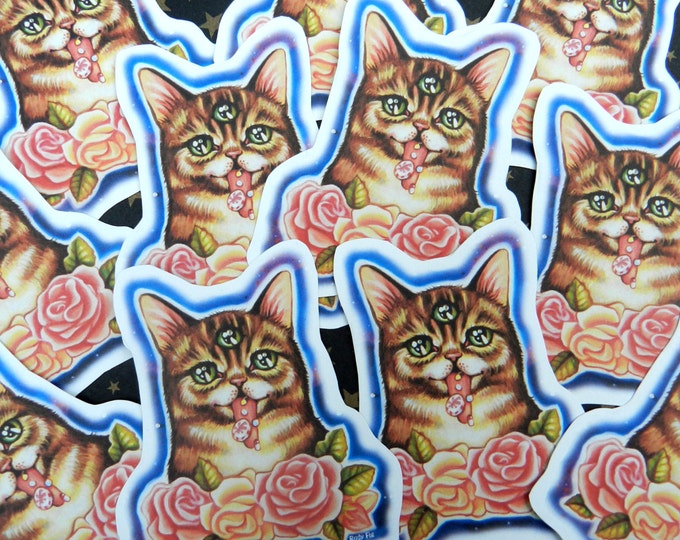Lil Bub Space Galaxy Cat Stickers by Rudy Fig Kitten Grumpy - Etsy