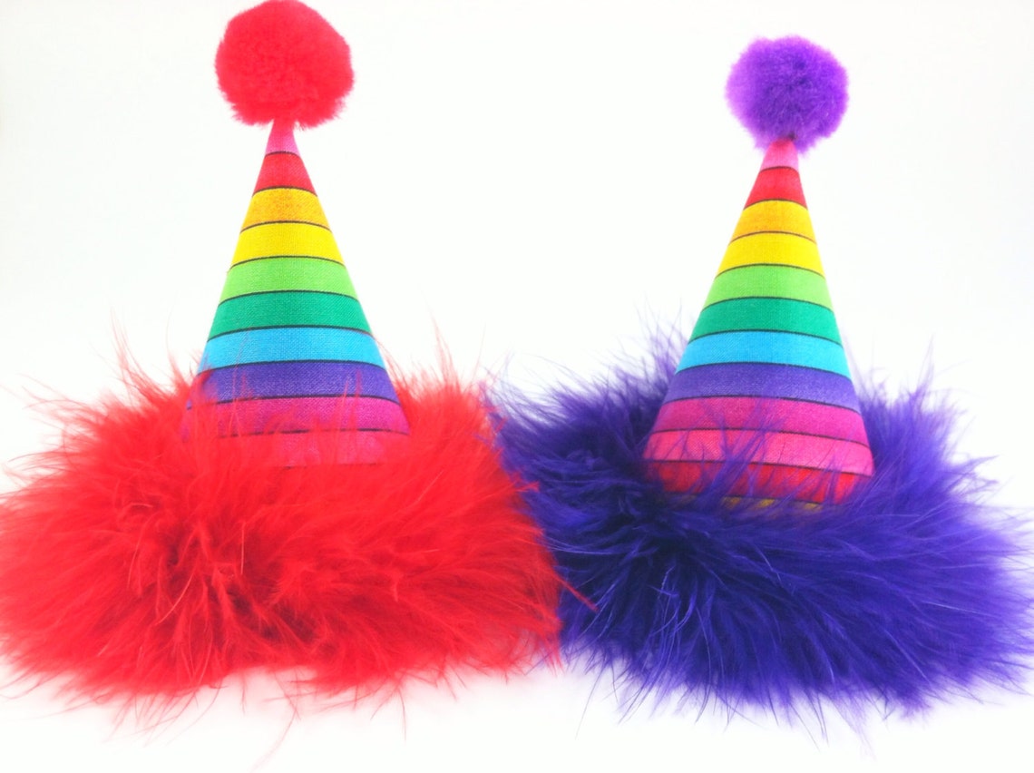 Rainbow Birthday Hat Rainbow Party Supplies Dog Birthday - Etsy